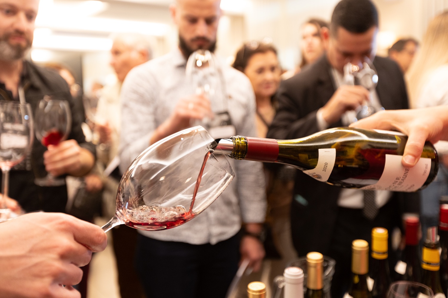 Wine Tasting: Salvador recebe evento exclusivo de vinhos importados ...